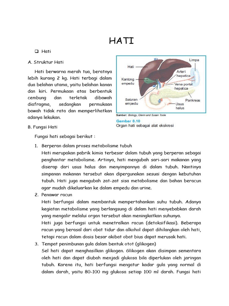 HATI | PDF