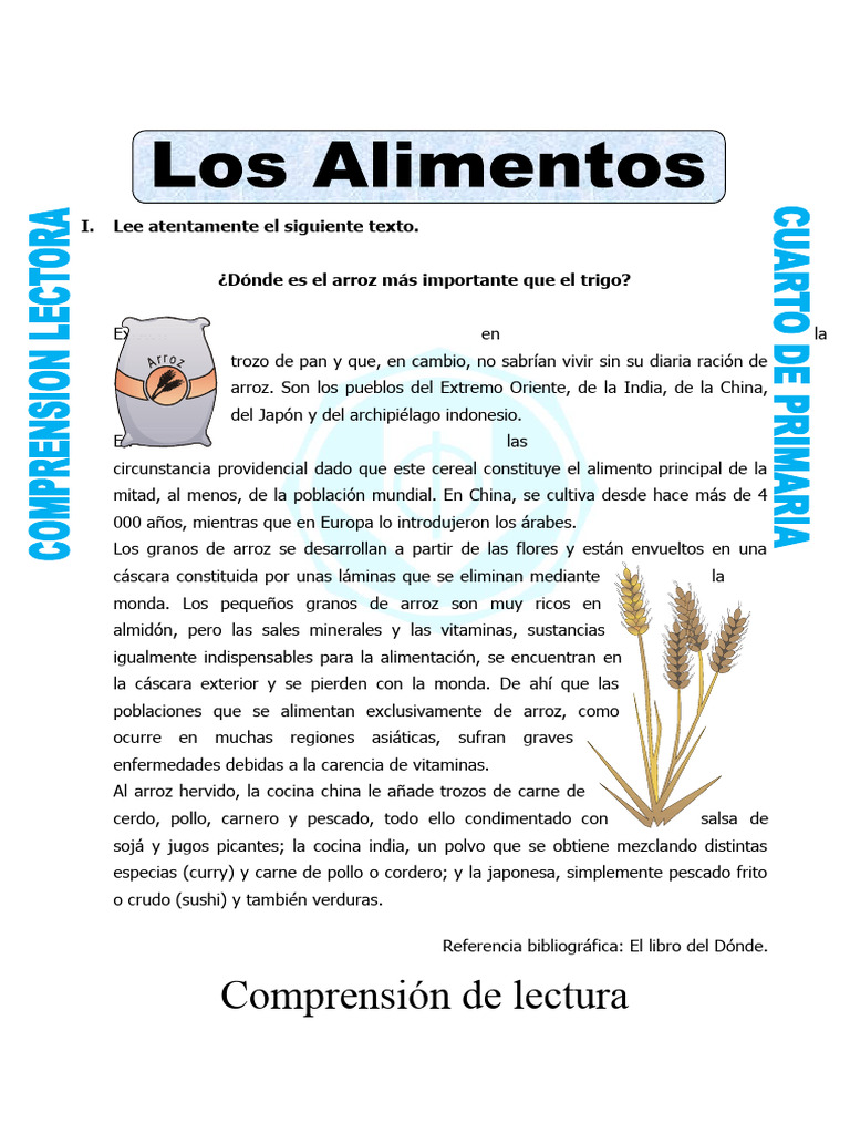1° Lectura, Los Alimentos | PDF | Arroz | Cocina