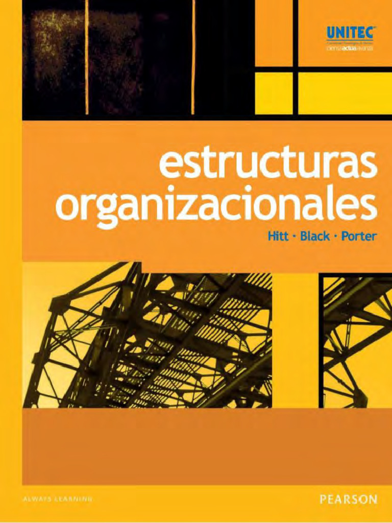 Estructuras Organizacionales - Hitt, Black y Porter | PDF