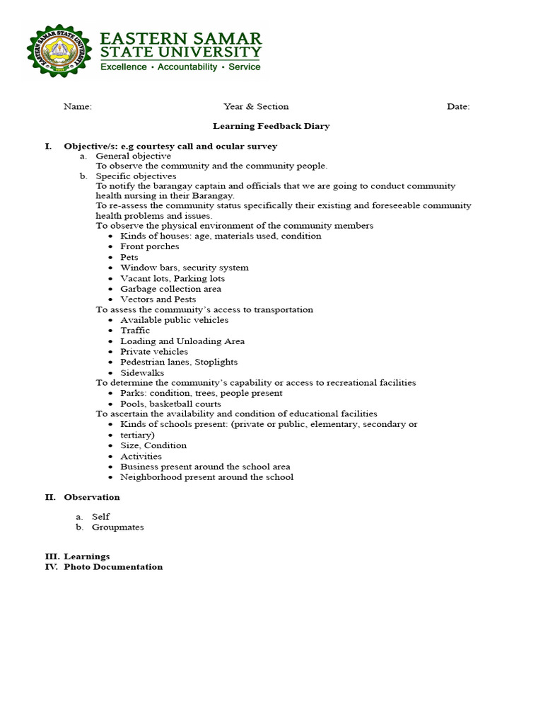 Learning Feedback Diary - CHN | PDF