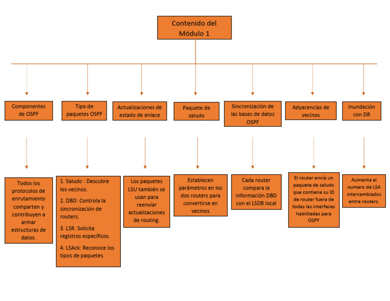 Mapa conceptual del Modulo 1 | PDF