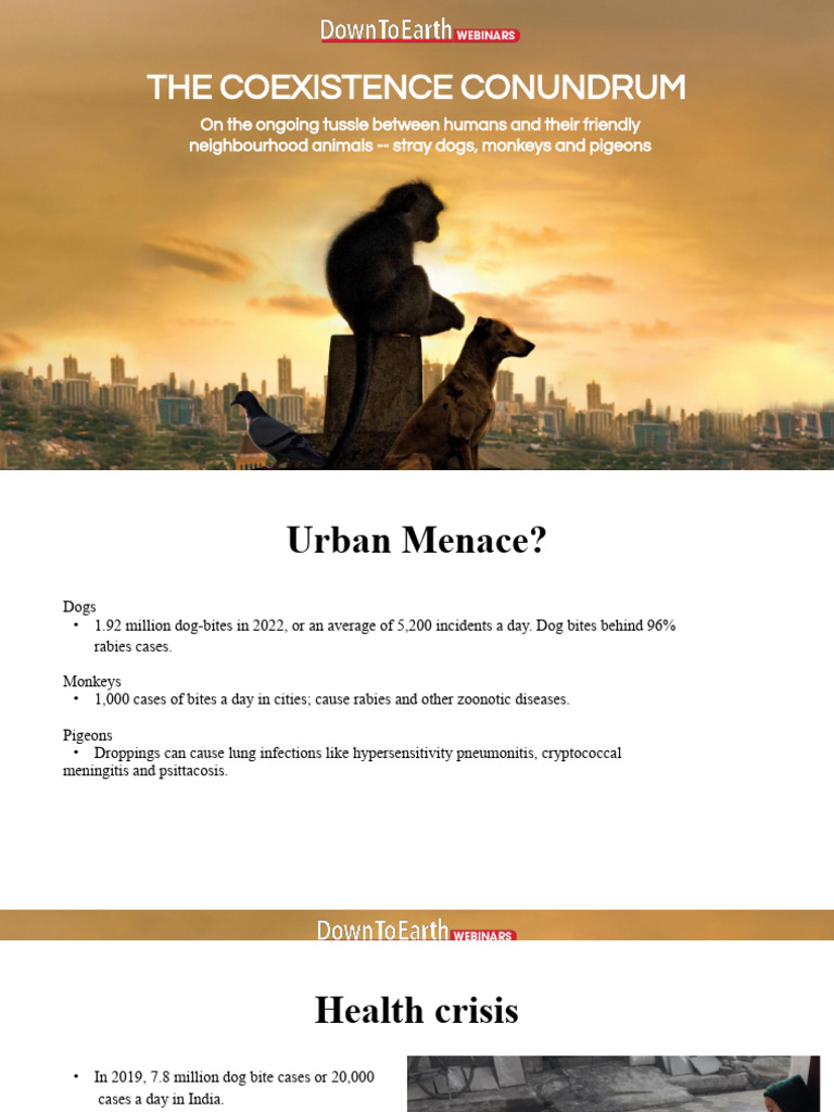 The Coexistence Conundrum | PDF | Rabies | Animals And Humans