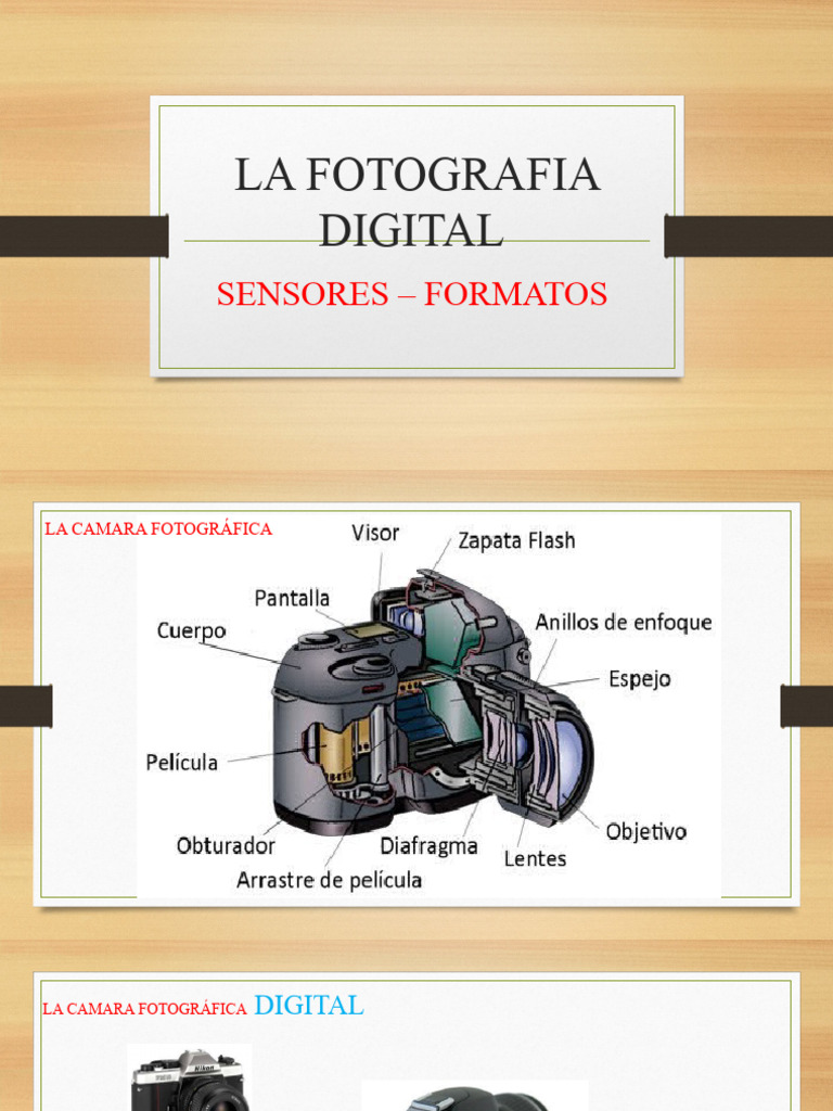 La Fotografia Digital 2022 | PDF | Formato de imagen sin procesar ...