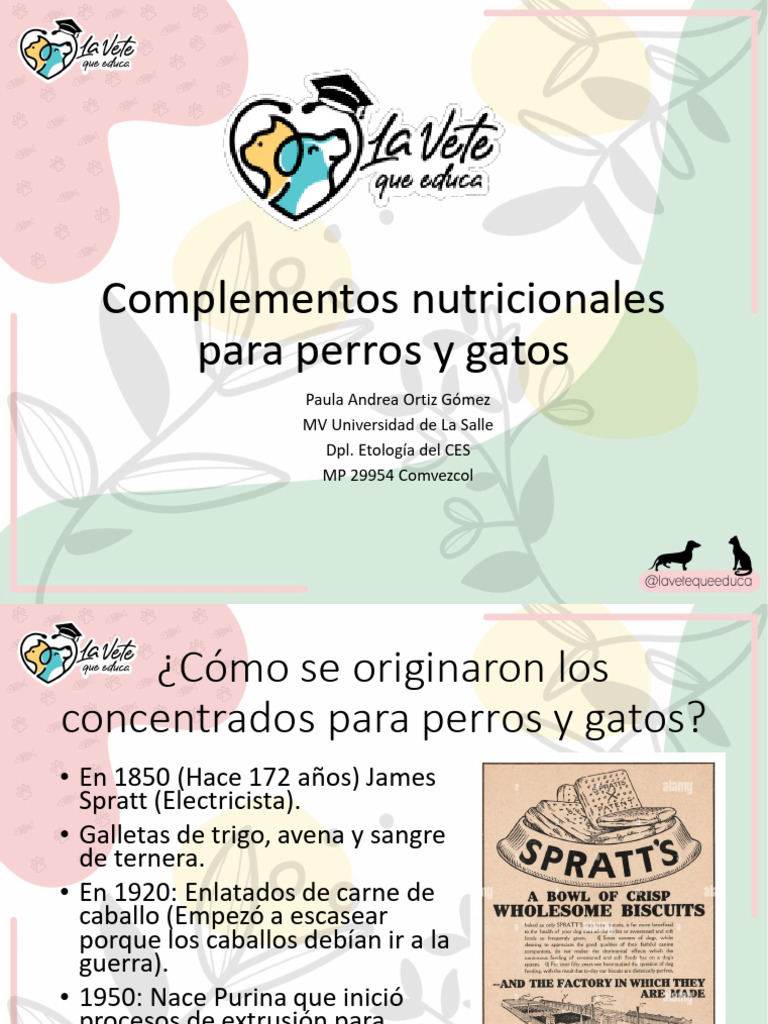 Complementos Nutricionales | PDF