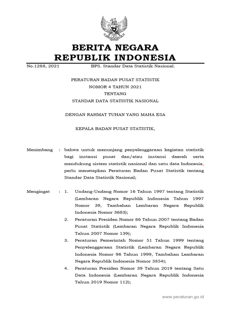 Standar Data Statistik Nasional | PDF