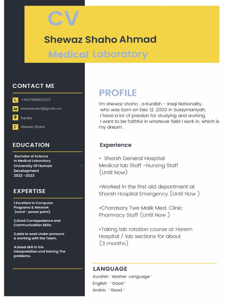 Professional Modern CV Resume | PDF