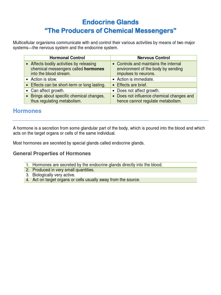 Endocrine Glands | PDF | Endocrine System | Pancreas