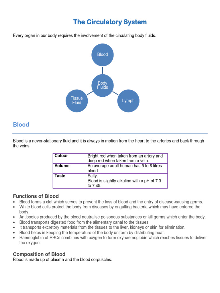 Circulatory System | Download Free PDF | Ventricle (Heart) | Heart Valve