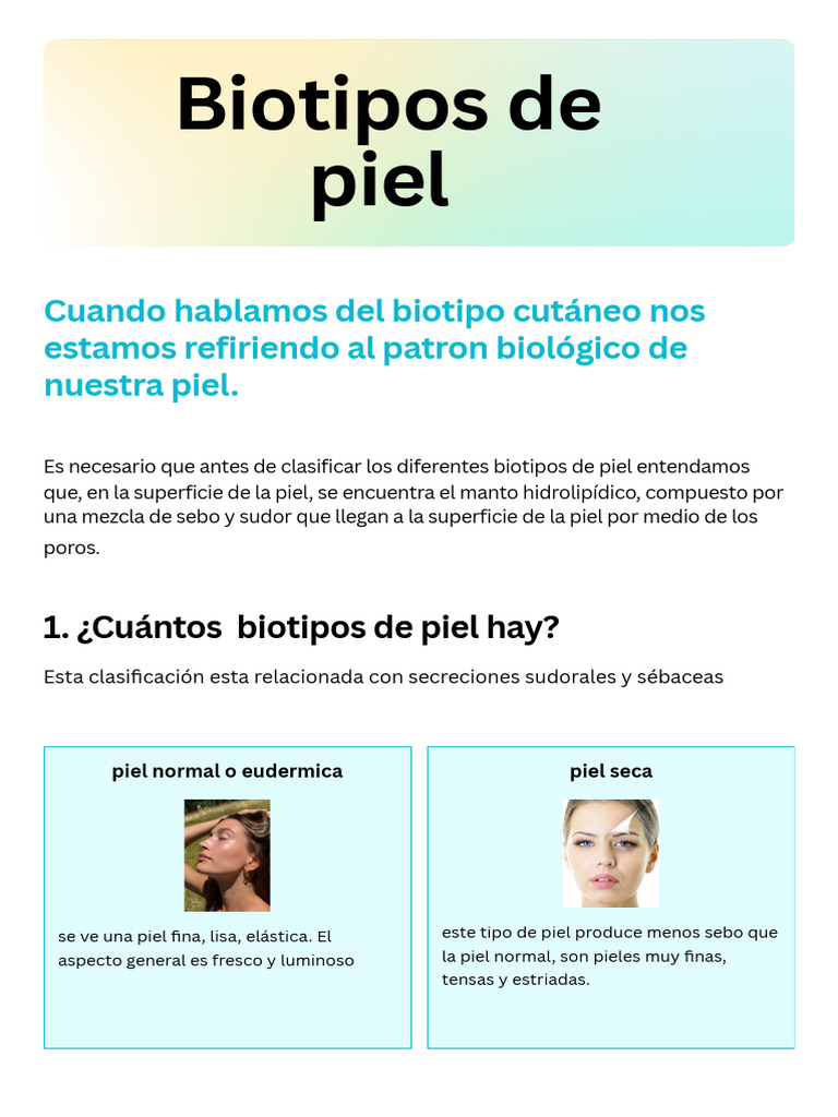 Biotipos de Piel | PDF | Piel | Sistema endocrino
