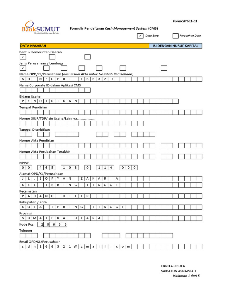 Formulir Pendaftaran Data CMS SDN 166321 | PDF