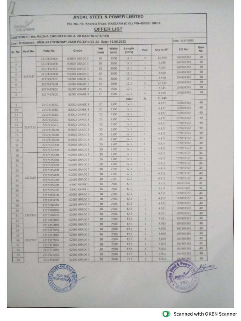 JSPL - Witness & Review Report | PDF