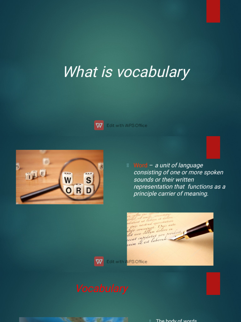 What Is Vocabulary in Learning | PDF | Idiom | Lexicon