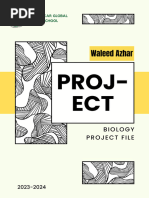 Class 12 Hindi Project 2024-25 | PDF