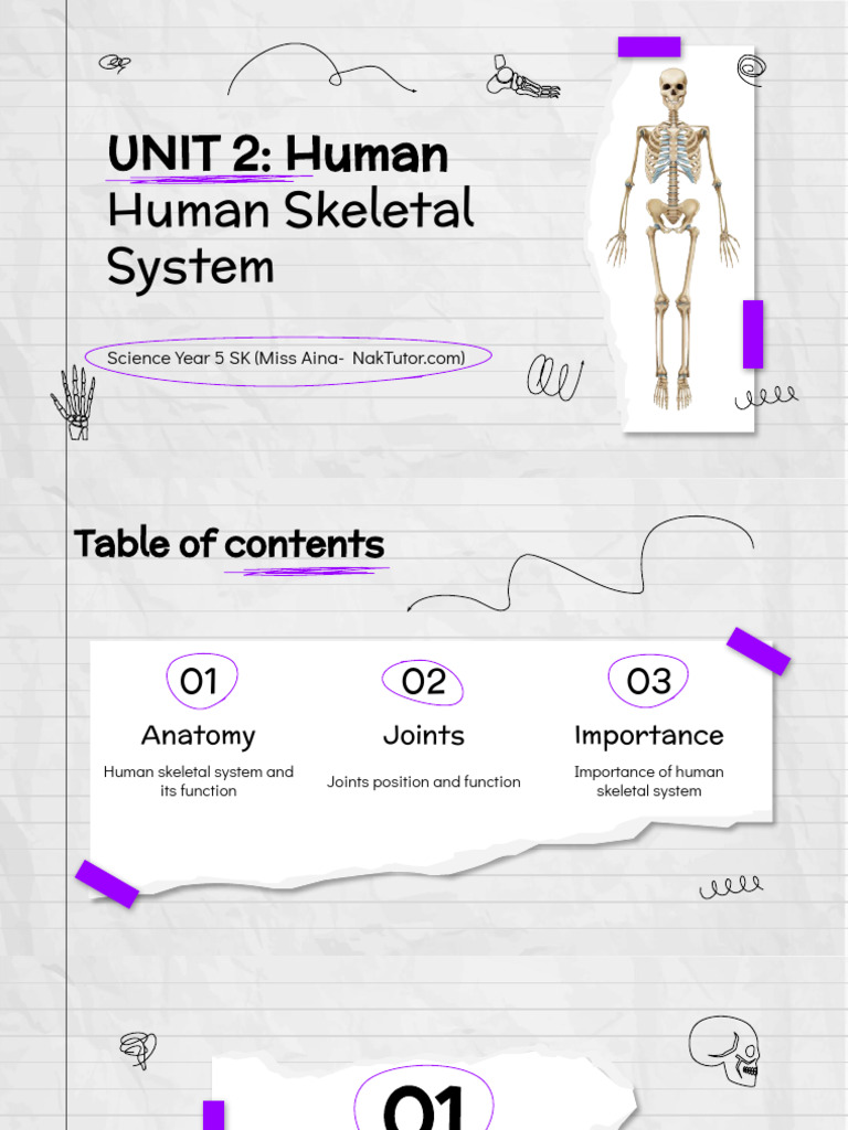 2.1:human Skeletal System | PDF