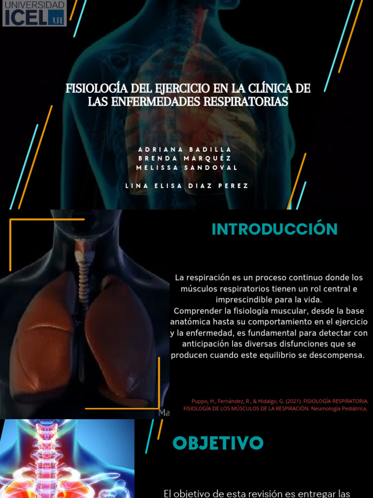 Fisiologia | PDF | Tos | Sistema respiratorio