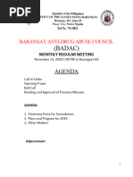 BADAC Plan 2023-2025 | PDF | Government