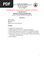 BADAC Action Plan Template NEW | PDF