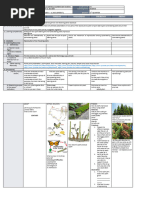 4es Model Lesson Plan | PDF