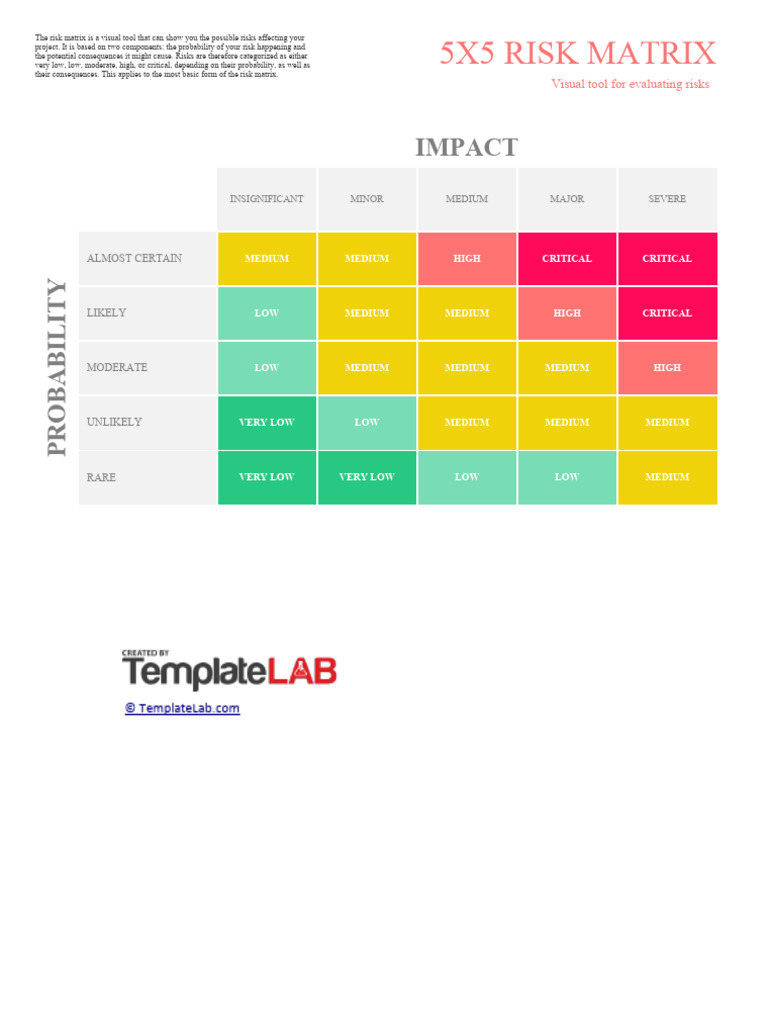5X5 Risk Matrix: Impact | PDF