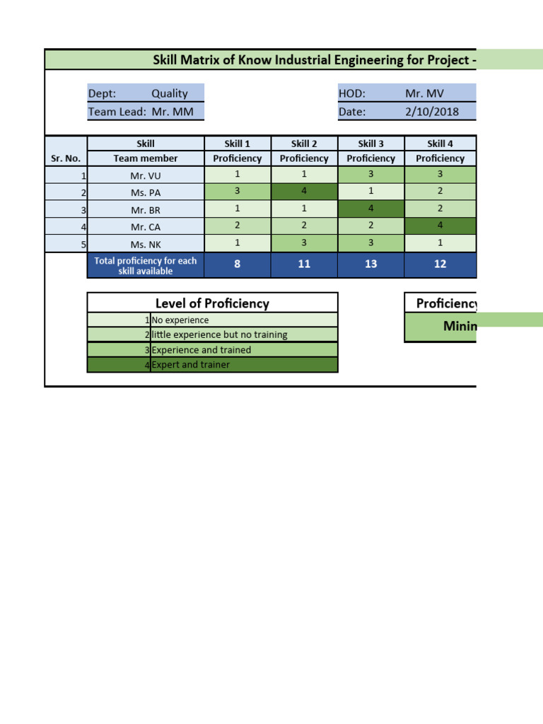 Engineering Skills Matrix for Project PKMK | PDF