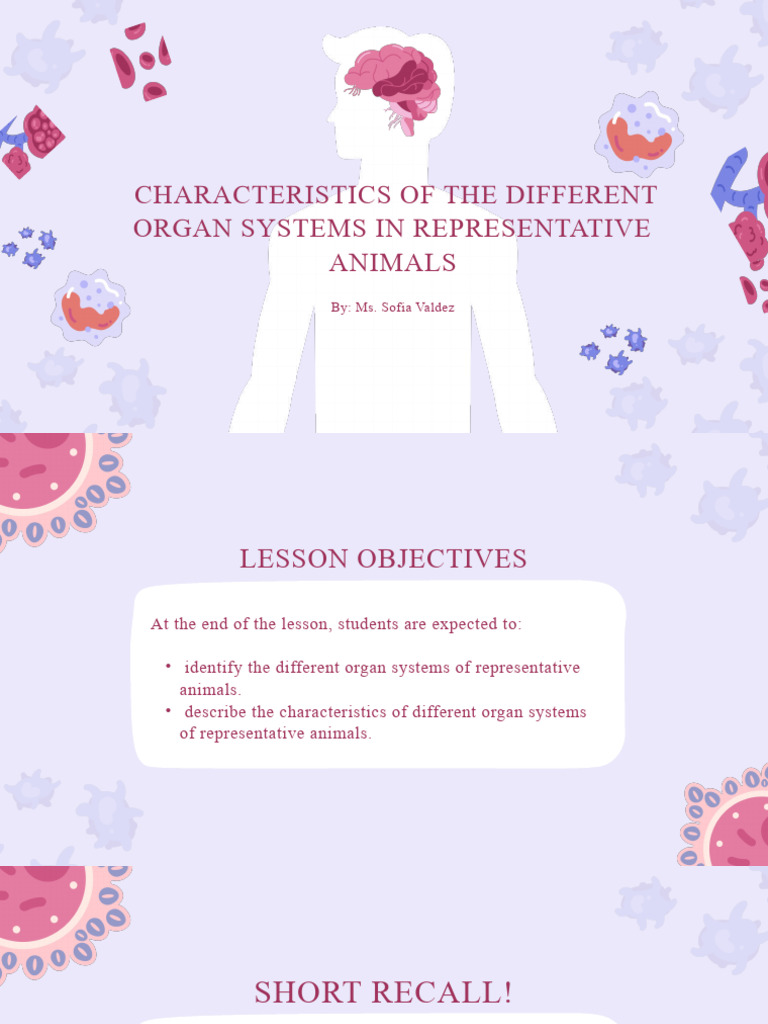9 Organ Systems | PDF