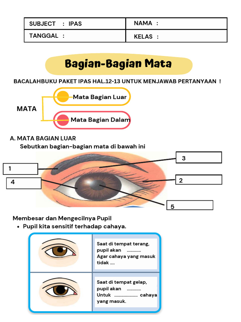 LKPD Ipas - Bab 2-Bagian Mata | PDF