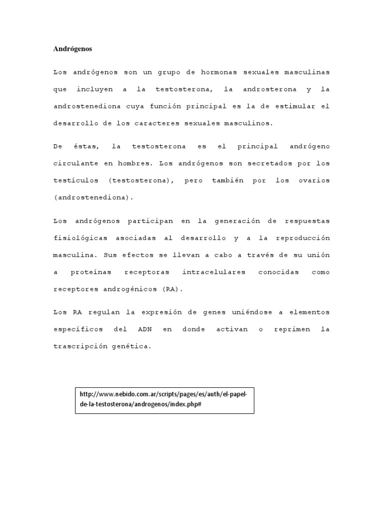 Funciones y tipos de andrógenos | PDF