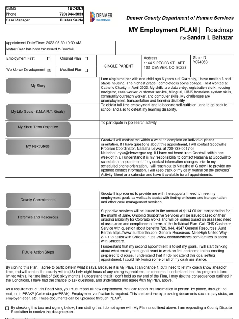 1BC43L3 Sandra Individual Plan | PDF