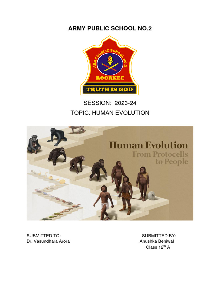 Evolution | PDF | Homo | Hominidae