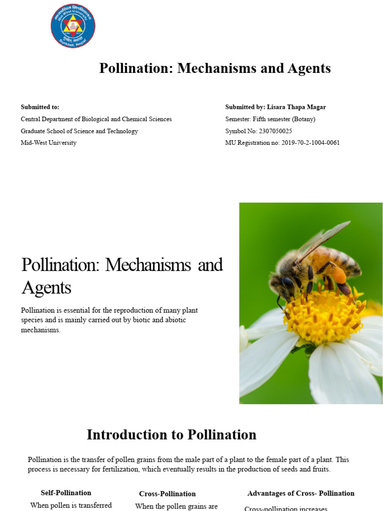 Pollination Mechanisms and Agents | PDF | Pollination | Flowers