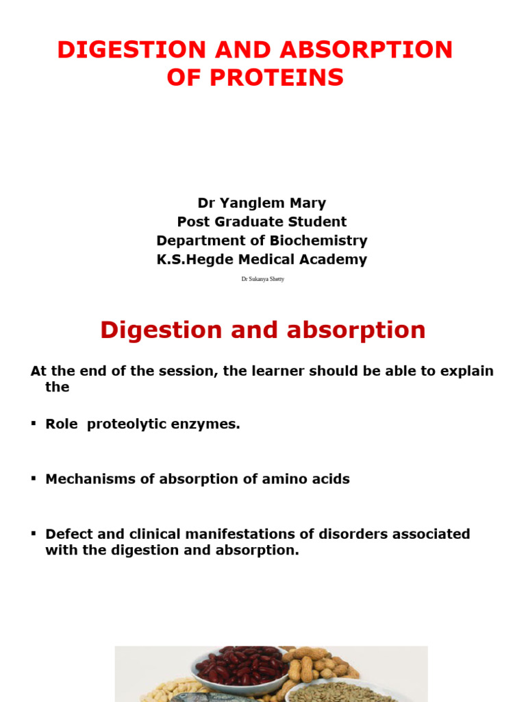 Digestion and Absorption of Proteins | PDF | Trypsin | Amino Acid
