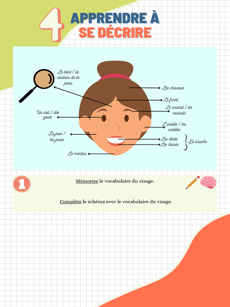 Vocabulaire du Visage au Collège | PDF | Couleur | Anatomie humaine