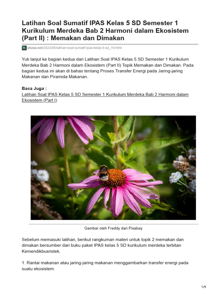 Latihan Soal Sumatif IPAS Kelas 5 SD Semester 1 Kurikulum Merdeka Bab 2 Harmoni Dalam Ekosistem ...