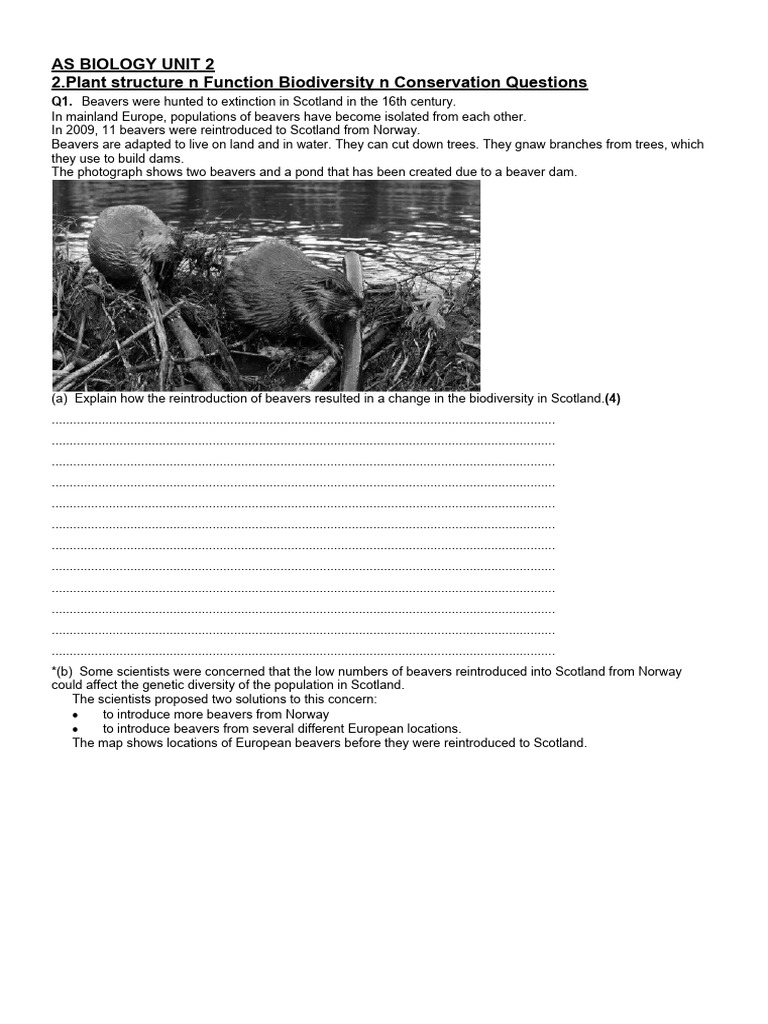 Plant Structure N Function Biodiversity N Conservation | PDF | Flowers ...