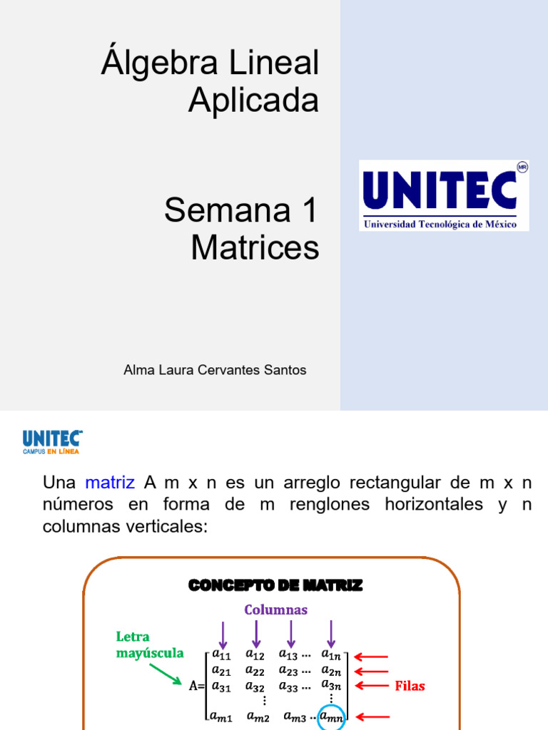 Semana 1. Matrices. | Descargar gratis PDF | Matriz (Matemáticas) | Determinante