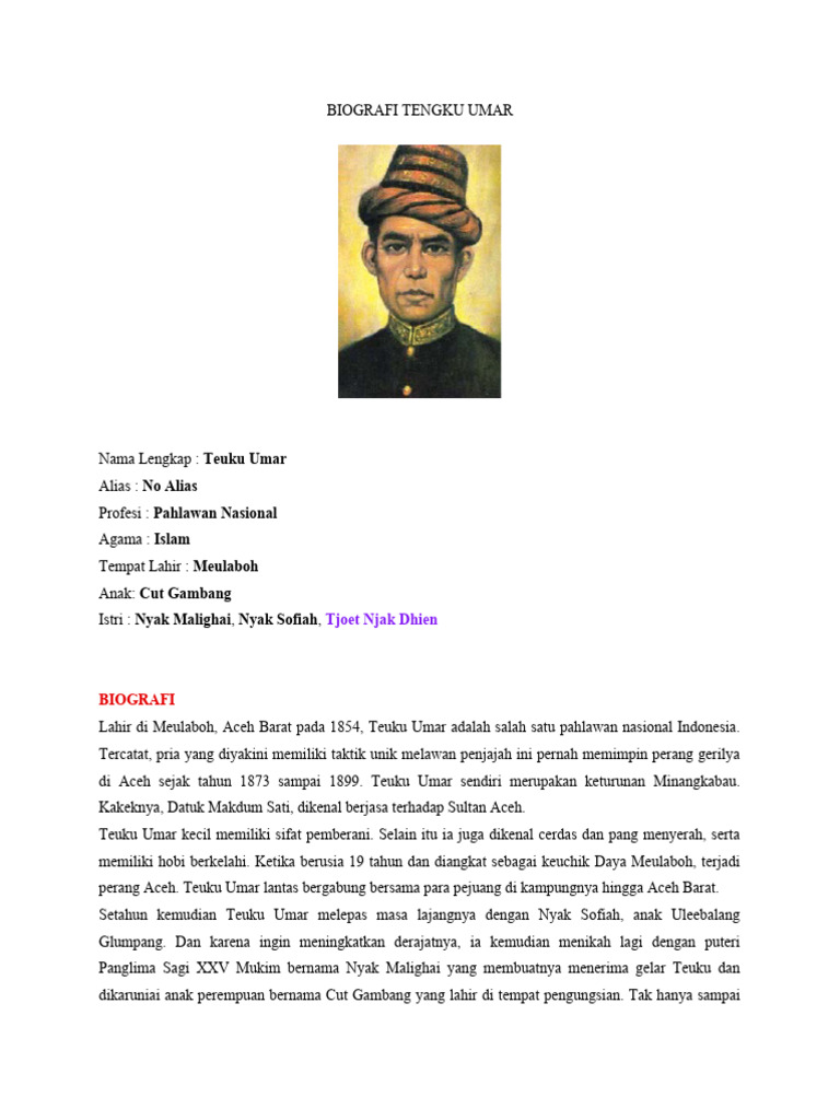 Biografi Tengku Umar | PDF