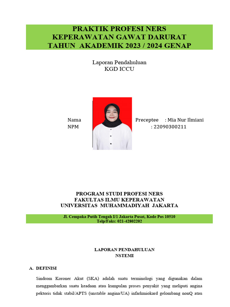 LP NSTEMI (Mia Nur Ilmiani) | PDF