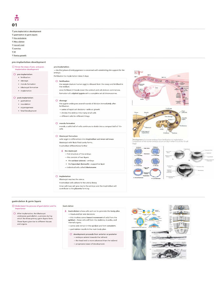 01 Building A Human | PDF