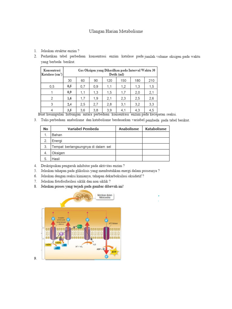 Perhatikan Tabel Perbedaan Konsentrasi Enzim Katalase Pada Jumlah ...