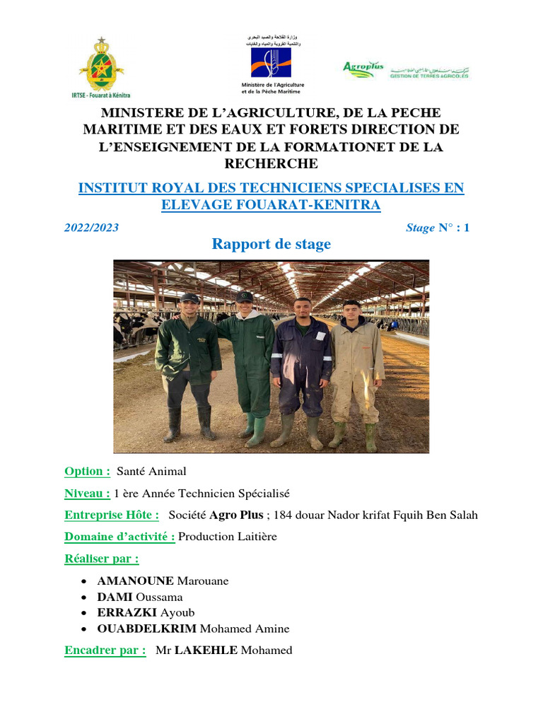 Rapport de Stage - Production Laitière 2022-2023 | PDF | Laitages