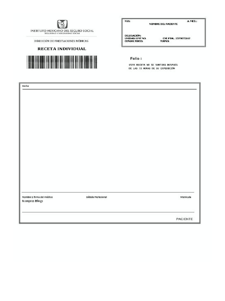 Receta Del Imms | PDF