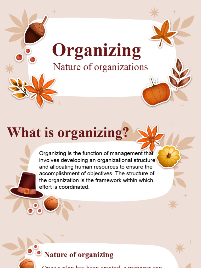 Nature of Organization | PDF | Goal | Organizational Structure