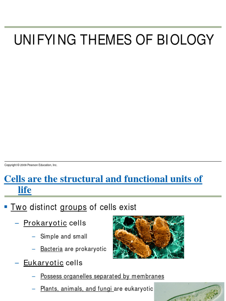 AMT Unifying Themes | PDF | Cell (Biology) | Organisms