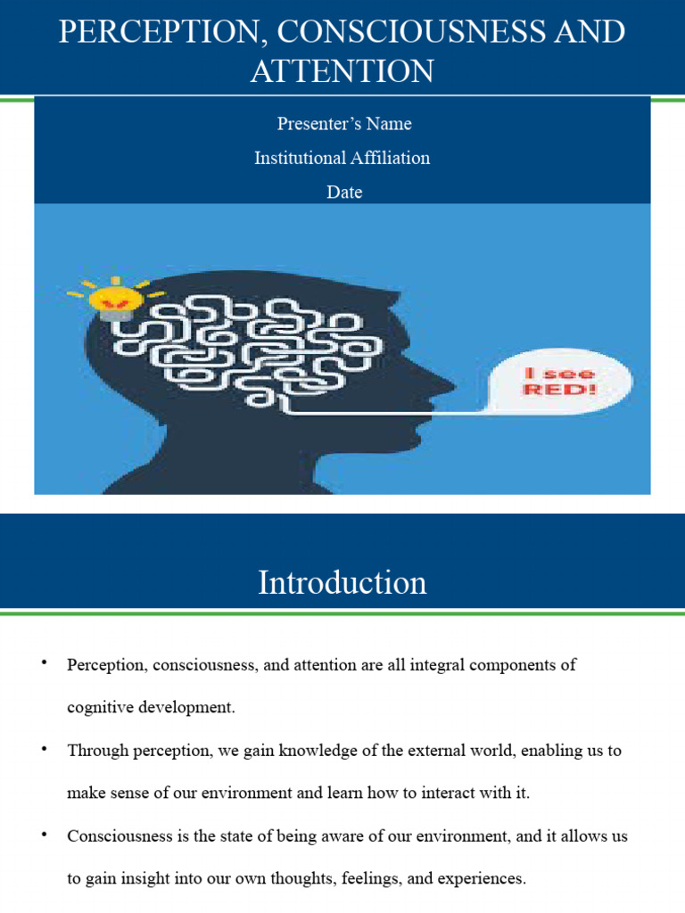 Perception, Consciousness and Attention-Final | PDF | Perception | Attention