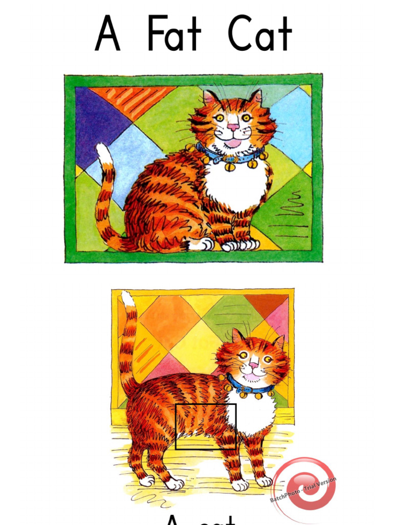 A Fat Cat | PDF