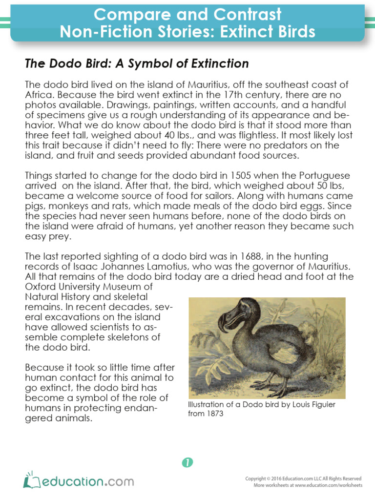 The Dodo Bird: A Symbol of Extinction | PDF | Birds | Ornithology