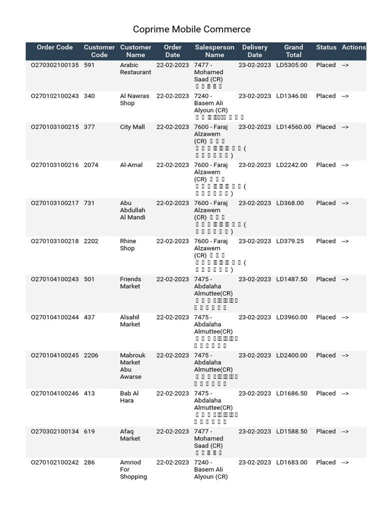 Coprime Mobile Commerce | PDF