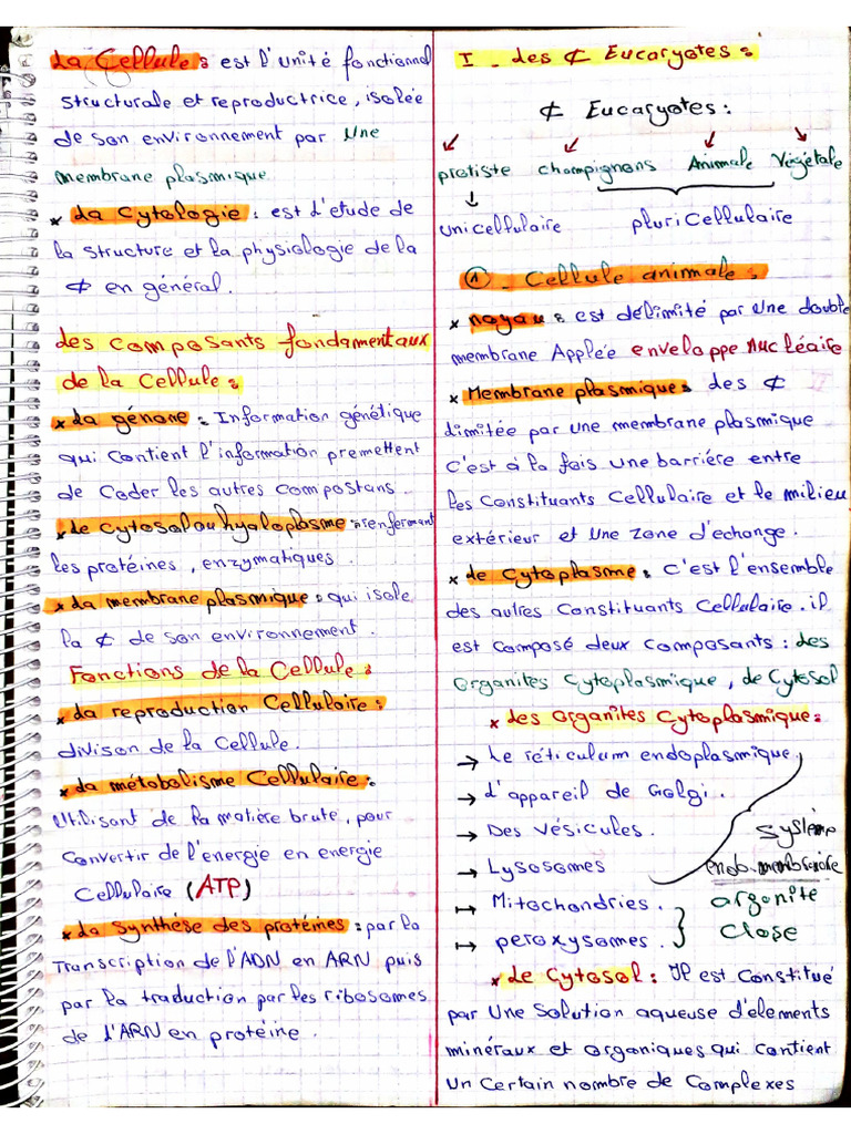 Bio Cell Kh#Sa - Adobeacrobat Reader | PDF