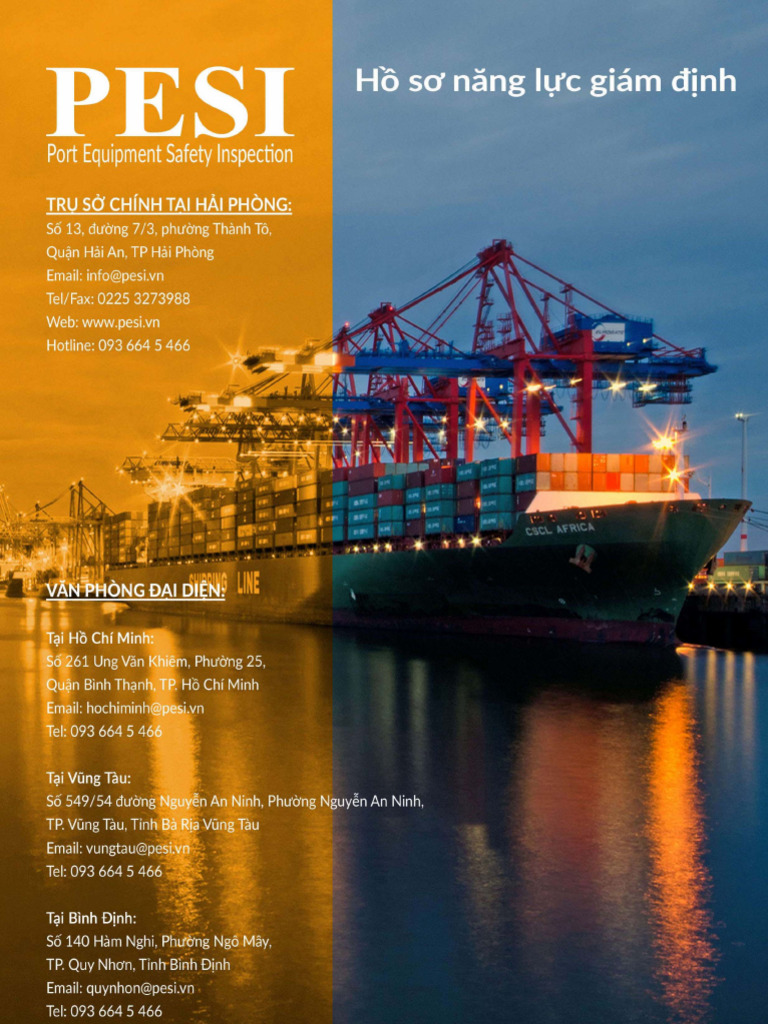 HSNL Giam Dinh PESI | PDF