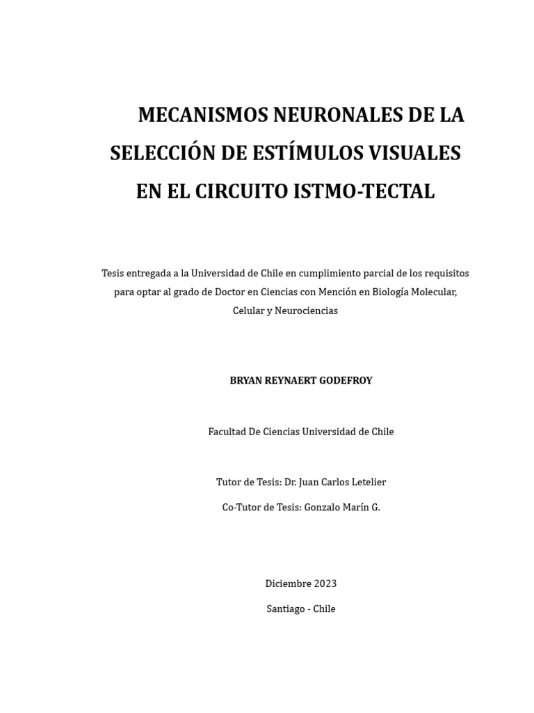 Mecanismos Neuronales de La Seleccion de Estimulos Visuales | PDF